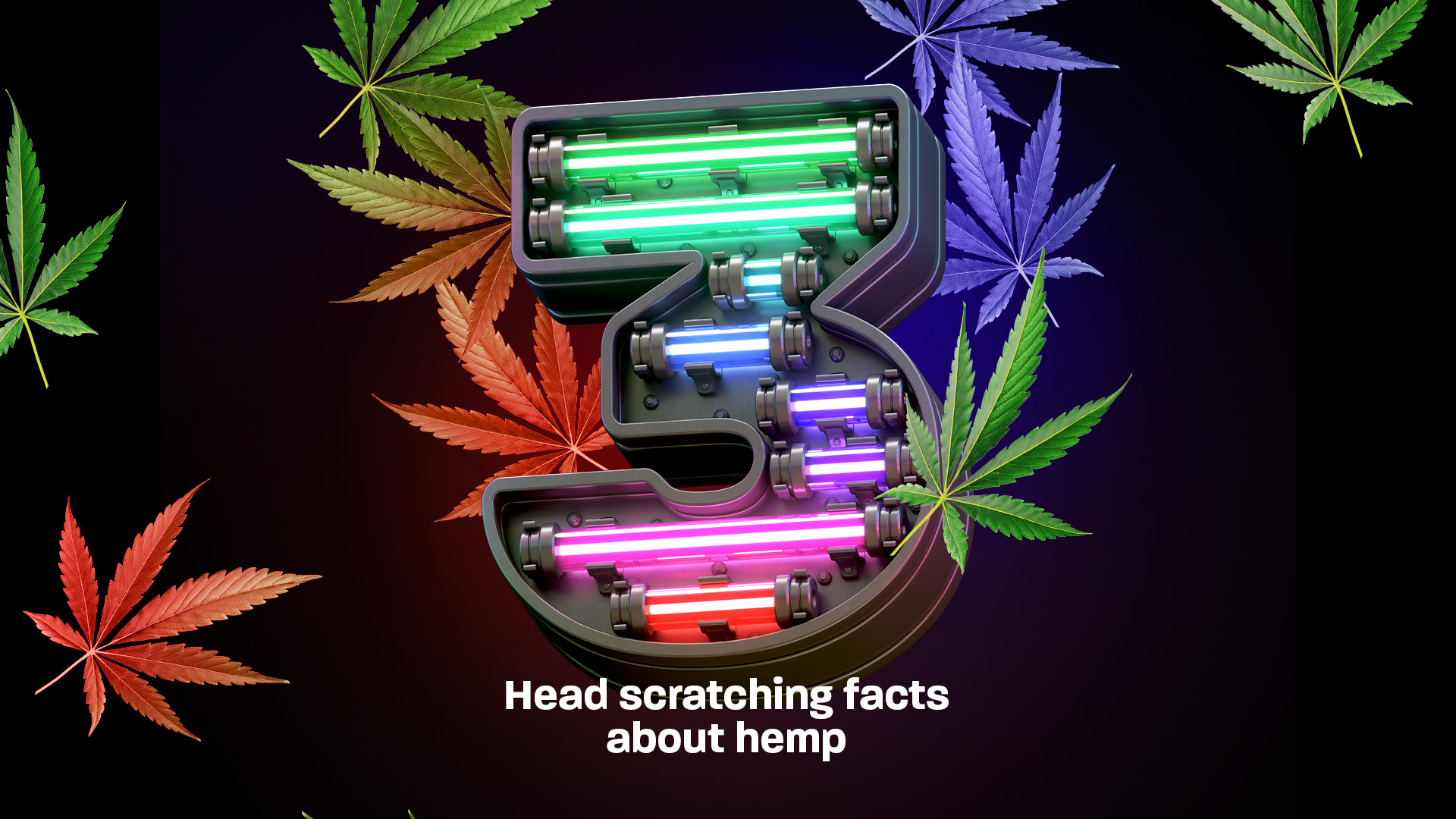 3 Head scratching facts about hemp - 3 Head scratching facts about hemp