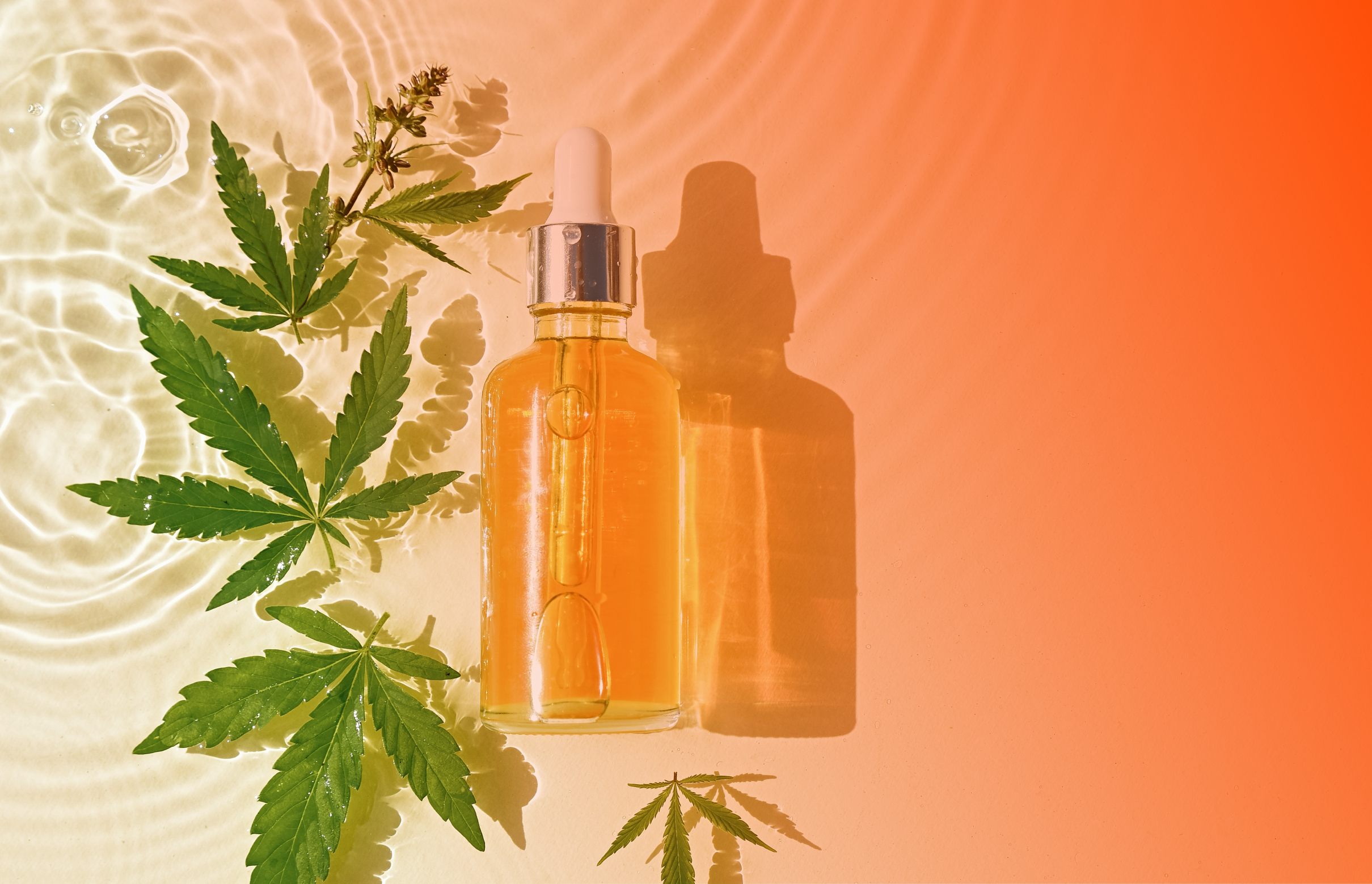 CBD Use for Anxiety Management: A Summary of Recent Studies - HempMeds